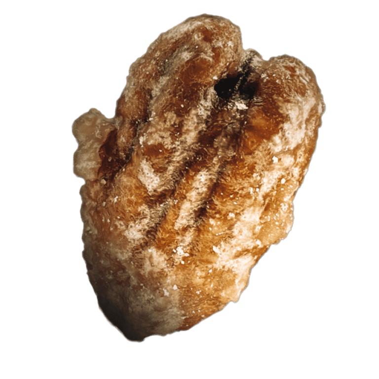 La Noix d'Érable | Entreprise Québécoise